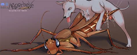 Rule 34 Antennae Anatomy Arthropod Arthropod Abdomen Arthropod Abdomen Penetration Blattodea