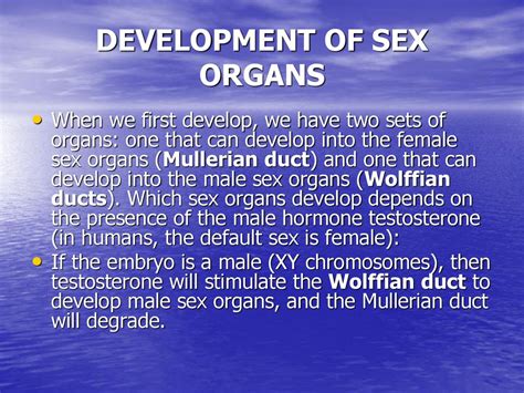 Sexual Reproduction From The Time We Are Teenagers Through Mid Life Or