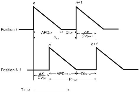 Pdf Analysis Of A Non Linear Partial Difference Equation And Its Application To Cardiac