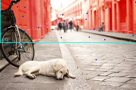 220602777 Mask Dino Towards A Unified Transformer Based Framework For Object Detection And