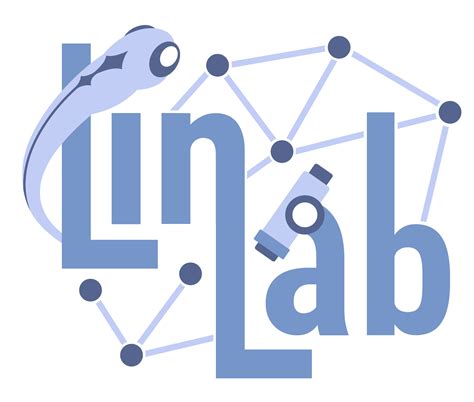 Lin Lab At Uoft The Website For The Systems Neuroscience Research