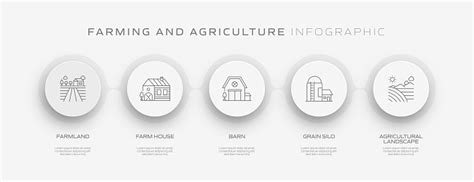 농업 및 농업 관련 프로세스 인포그래픽 템플릿 프로세스 타임라인 차트 아이콘이 있는 워크플로 레이아웃 가금류에 대한 스톡 벡터 아트 및 기타 이미지 Istock