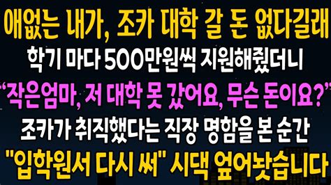 반전사연 아이 없는 내가 조카가 대학 학비 없다는게 안쓰러워 매년 학비 전액 지원했더니 조카가 한푼도 못받았다며 연락