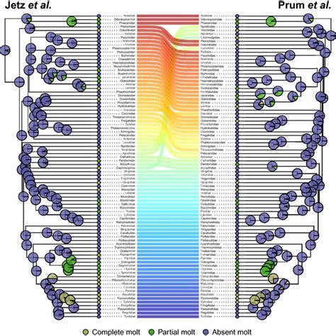 Ancestral Trait Reconstruction Analysis Continuous Time Markov Chain