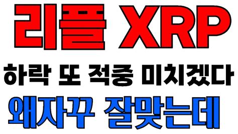 리플 Xrp 엑스알피 소송종결시 폭등올까 3천원깨진다 또 적중 죄송합니다 아크코인 아더코인 아르고코인 소닉svm 카우프로토콜