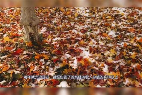 山东又将崛起的一座城市，直逼省会济南，看看是你的家乡吗省会济南崛起