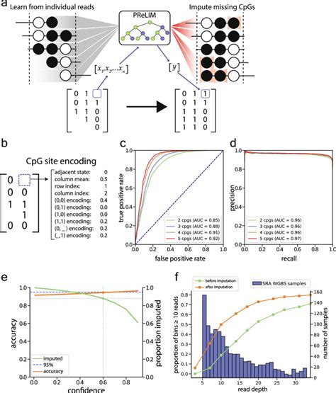 Precise Read Level Imputation Of Methylation Prelim Imputes Missing