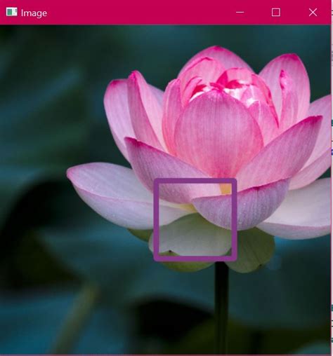 Detect Eyes And Detect Faces In Python Copyassignment