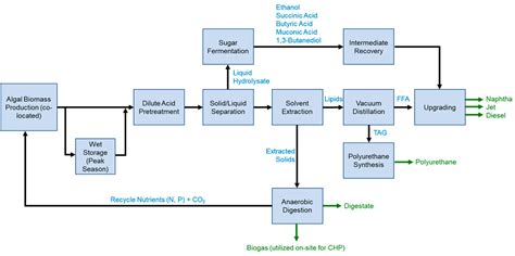 Algal Biofuel Production