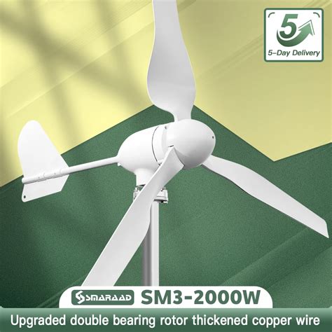 Didito 풍력 터빈 발전기 완전 세트 풍차 태양광 인버터 및 Mppt충전 컨트롤러 발전소 1000w 2000w