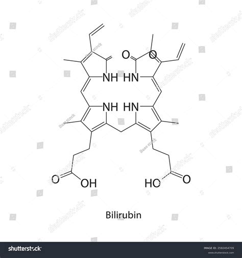 Bilirubin Skeletal Structurepigment Compound Schematic Illustration Stock Vector Royalty Free