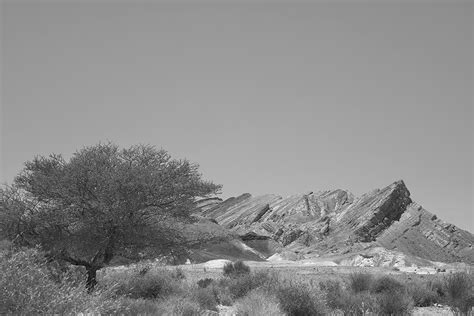 Raheli Dvorkin Photography