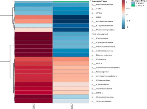 Heat Map Plot Depicting Relative Abundance Of 24 No Of Phyla Among Download Scientific Diagram