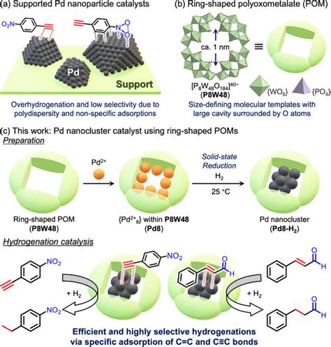 Surface‐exposed Pd Nanocluster Confined Within A Ring‐shaped