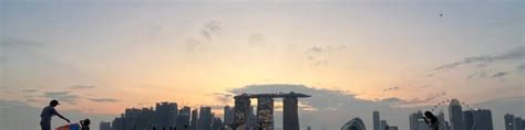 Tasha Lim On Linkedin Completion Certificate For Databases And Sql For