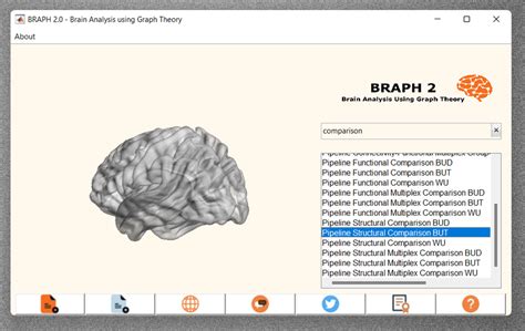 Pipeline Structural Comparison But Braph