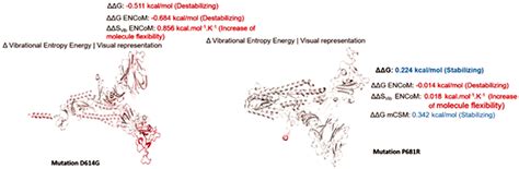 Vibrational Entropy Energy Between Wild Type And Mutant For Mutation Download Scientific