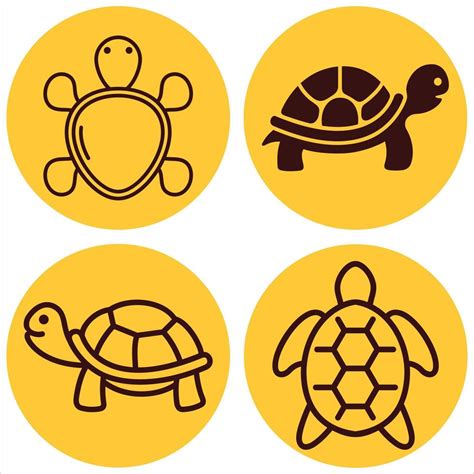 Collection Of Tortoise 15778645 Vector Art At Vecteezy
