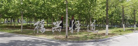 学校举办ai赋能课程建设与教师数字素养能力提升培训会 教师发展中心