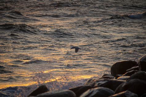 배경 화면 햇빛 일몰 바다 록 자연 육지 모래 반사 바닷가 목재 해돋이 저녁 아침 연안 수평선 황혼 구름 폭풍우 같은 날씨 새벽 대양