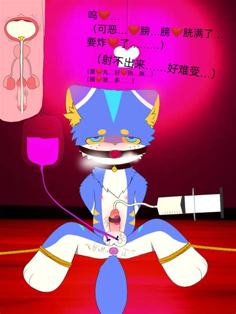 Rule 34 Bladder Bladder Balloon Bladder Bulge Bladder Penetration