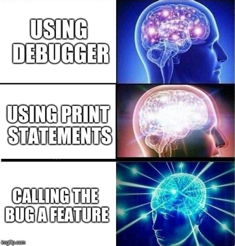 Different Ways Of Debugging R ProgrammerHumor