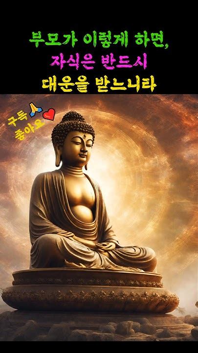 자식의 운명을 바꾸는 부모의 마음가짐 부처님가르침 명언 자기수행 부처님말씀 좋은글 긍정적마인드 인생조언 긍정의말 자기계발 철학 Youtube