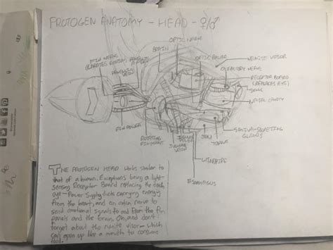 Protogen Anatomy Sfw Head Only Art By Me Malefemale Rprotogen