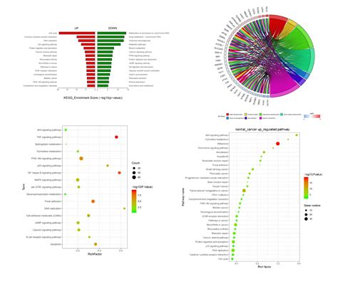 Rnaseq，我们可以提供哪些图表分析 1 基因