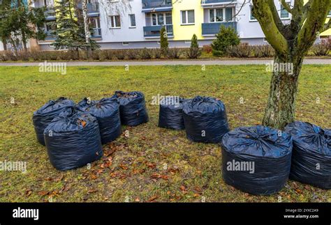 Black Bags Of Garbage Thrown Outside An Apartment Block Bags With Mown Black Bags Of Garbage Thrown Outside An Apartment Block Bags With Mown