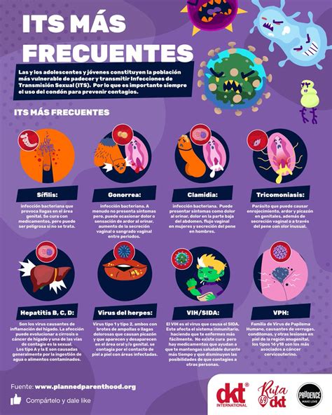 Conoce Las Enfermedades De Transmisión Sexual Más Comunes Y Sus Efectos
