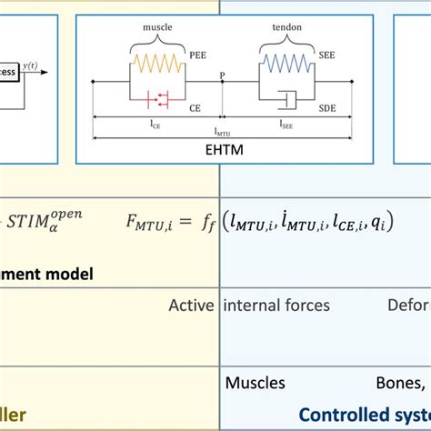 Layered Hierarchical Architecture Of The Human Motor Control Which