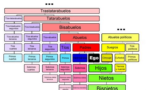 Árbol Genealógico Primos Los Primos Esos Grandes Desconocidos