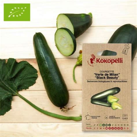 Graines Bio à Semer Courgette Verte De Milan Association Kokopelli Gamm Vert