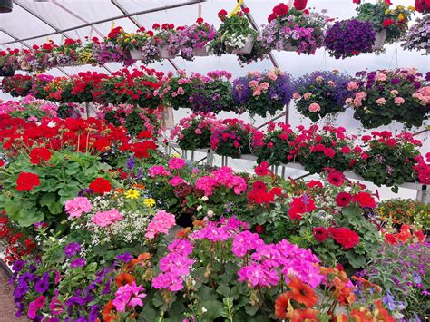 Cba Robotics Cba Robotics Added A New Photo