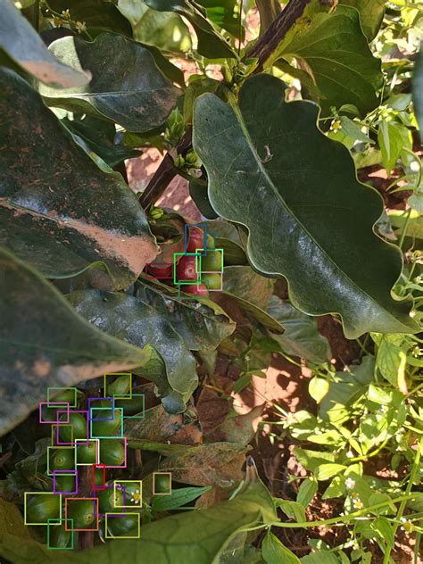 Abdul Razak Gamani On Linkedin Precision Agtech