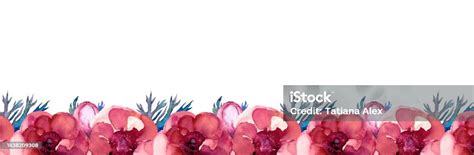 양귀비 말미잘 빨간색과 분홍색 꽃과 나뭇잎 웹 배너 템플릿입니다 수채화 손으로 그린 그림입니다 0명에 대한 스톡 벡터 아트 및 기타 이미지 Istock