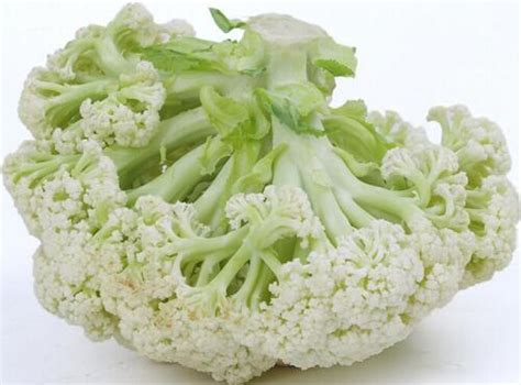 花菜 深圳佳惠鲜农副产品配送有限公司