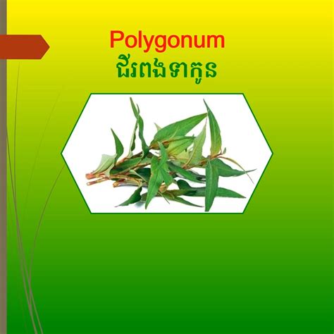 ២៨ឃ្លា Phrasal Verbs ល្អៗ ចាំបាច់ប្រើប្រចាំថ្ងៃ បកប្រែជាភាសាខ្មែរ ២៨ឃ្លា Phrasal Verbs ល្អៗ