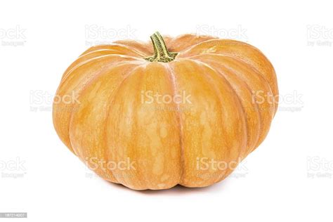 추절 배경기술 흰색 바탕에 그림자와 0명에 대한 스톡 사진 및 기타 이미지 0명 10월 가을 Istock