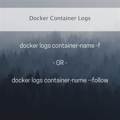 You Can Access The Logs Of Your Docker Container By Using The Name Or