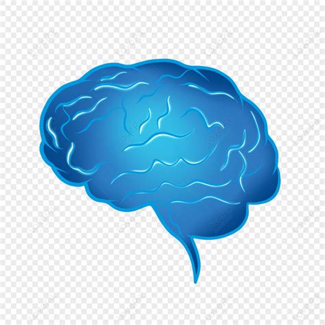 인간의 두뇌 그림 일러스트생물학영화해부 Png 일러스트 무료 다운로드 Lovepik