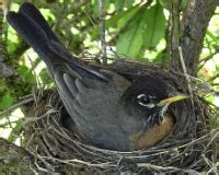 Nest S Get The Best  On Er