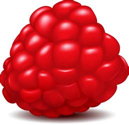Raspberry Vector Images Over