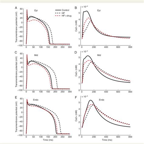 Action Potentials A And B And Calcium Transients C And D From