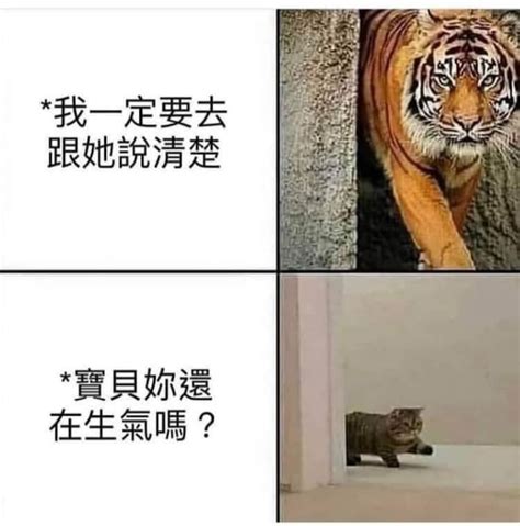情侶吵架 梗圖板 Dcard