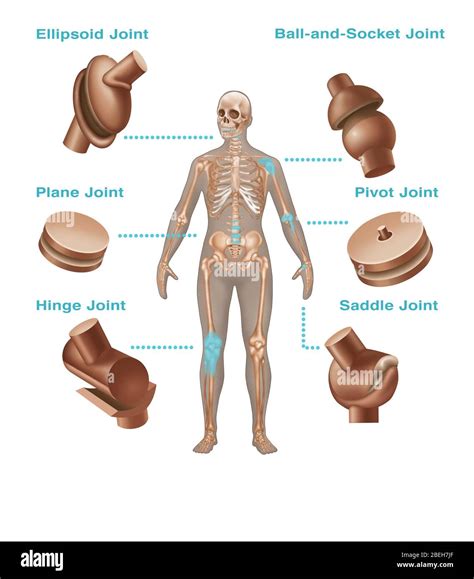 Mechanical Pivot Joint Examples