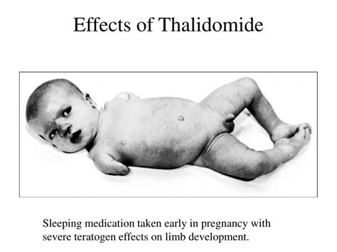 Ppt Chapter 29 Human Development Powerpoint Presentation Free