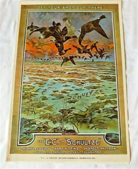 Vintage Ecor Schultz Du Pont Powder Co Brant Ducks Advertising