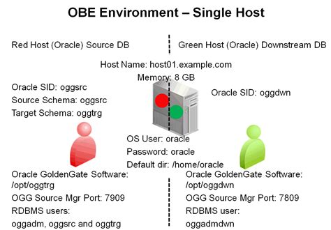 Using Oracle Goldengate Downstream Deployment For Oracle To Oracle